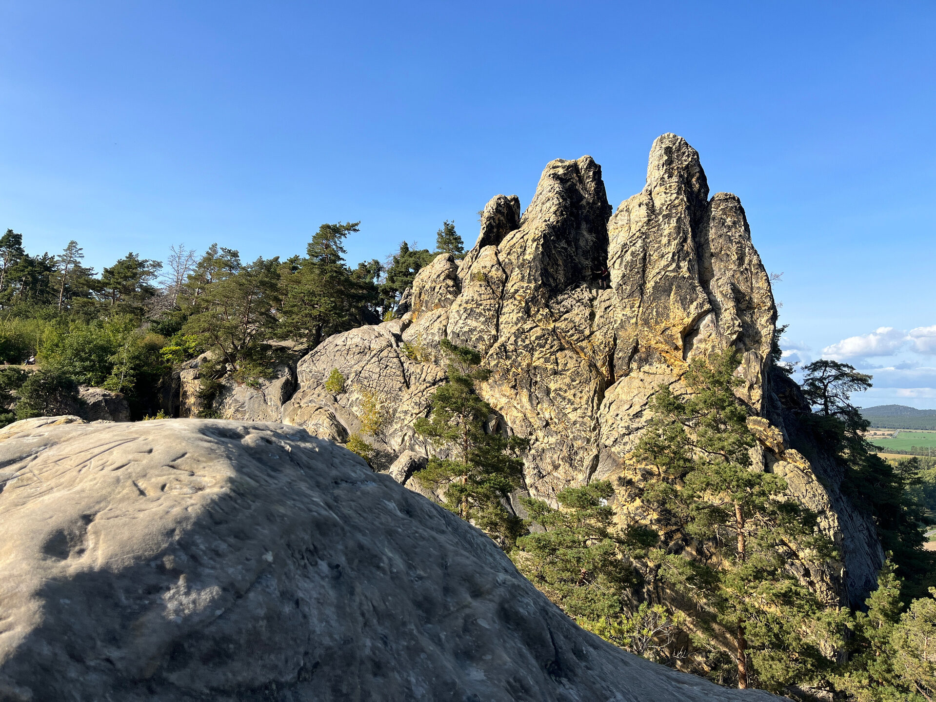 Erleben im Harz - Familotel Family Club Harz in Quedlinburg